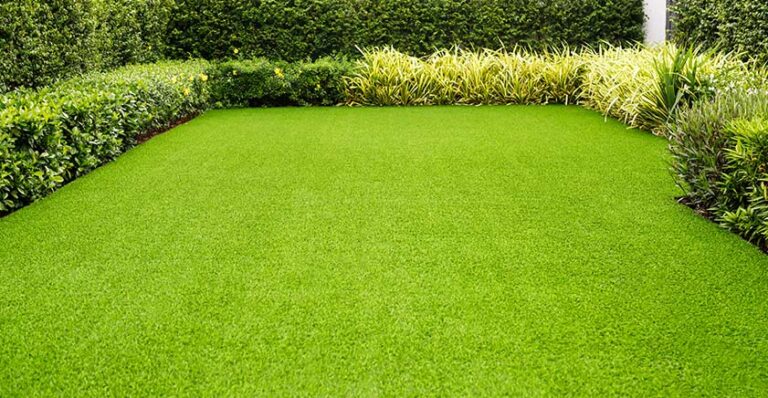 Césped rústico: propiedades mantenimiento y aplicaciones prácticas ...